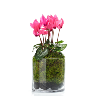 Luxury Flower Delivery Service | H.BLOOM